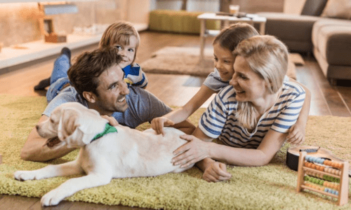 Introducing New Pets to the Household: A Guide for a Smooth Transition ...