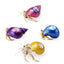 Krabooz Hermit Crabs Coloured – Woonona Petfoods