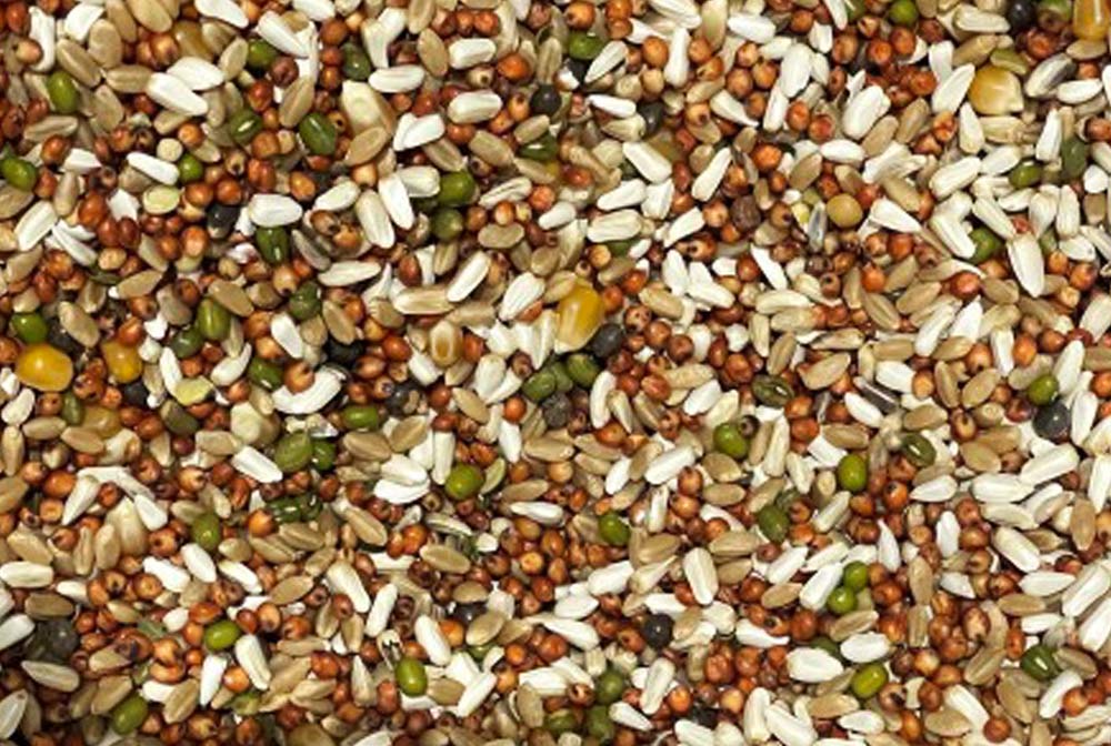 Pigeon Food – Page 2 – Woonona Petfood & Produce